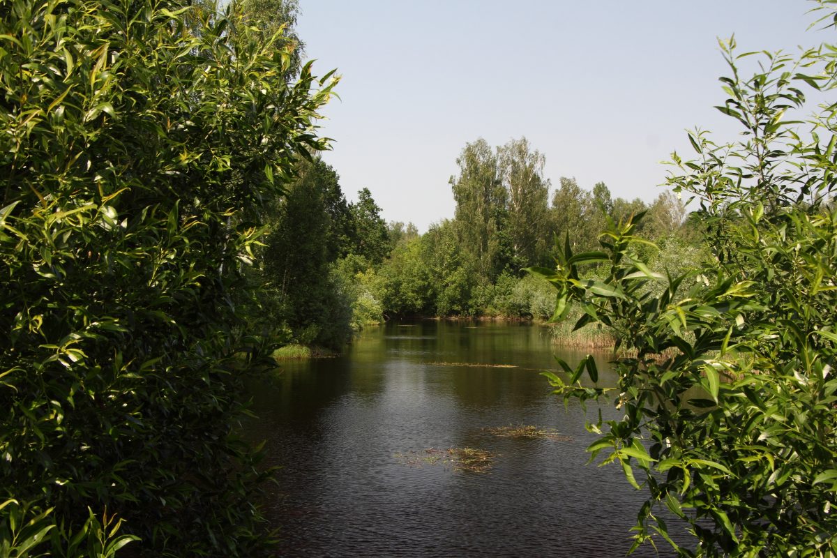 Baltic Forest Hiking - Baltic Nature Travel
