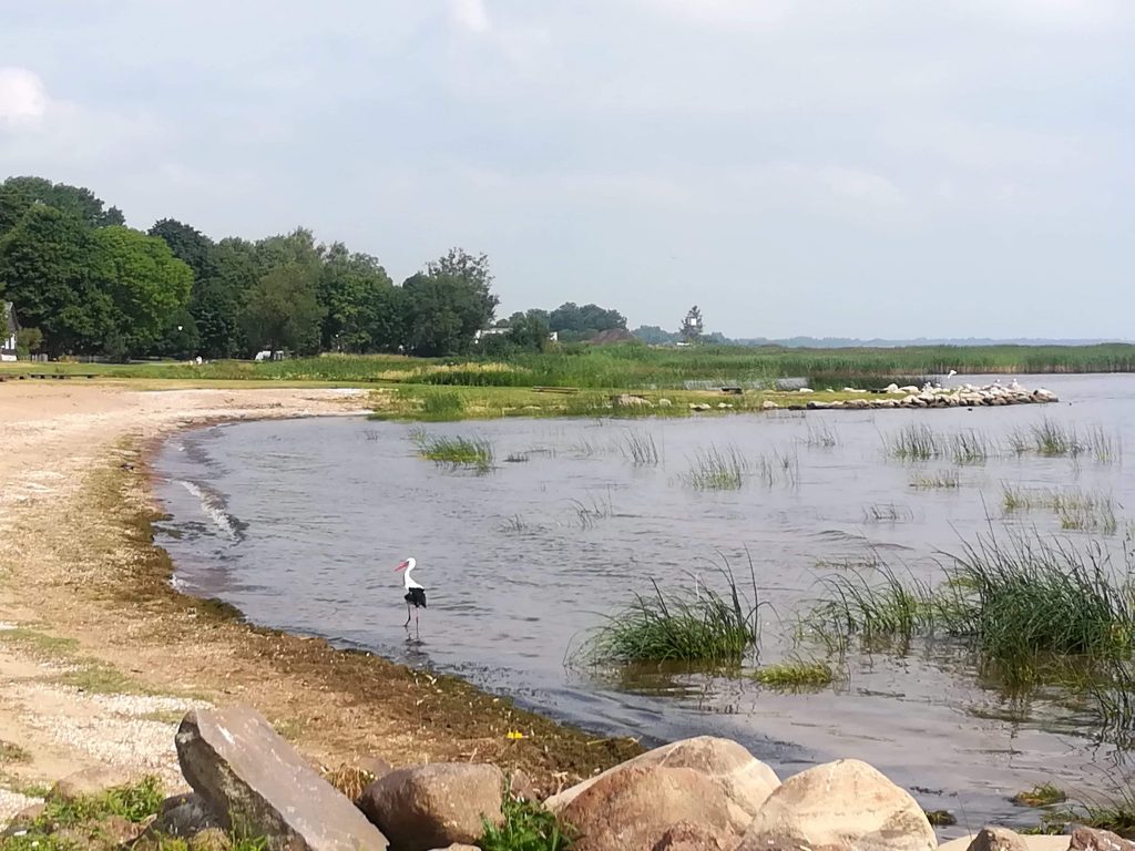 Coastal Hiking - Baltic Nature Travel