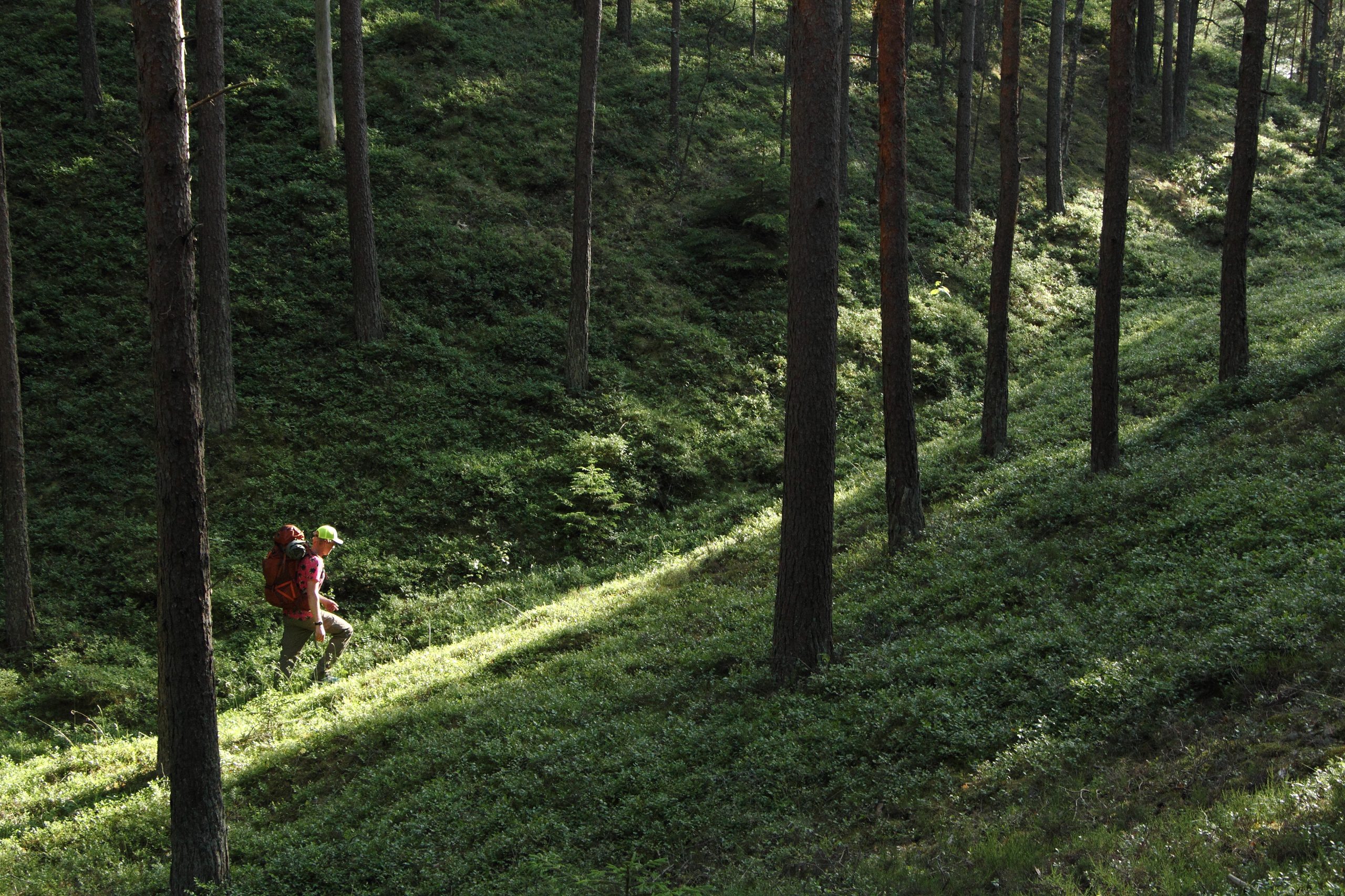 - Baltic Nature Travel: Book Your Adventure With Us!