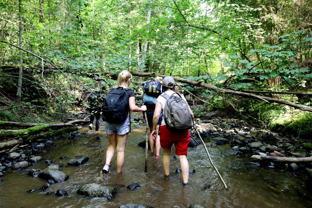 Our tours - Book your next adventure with us!