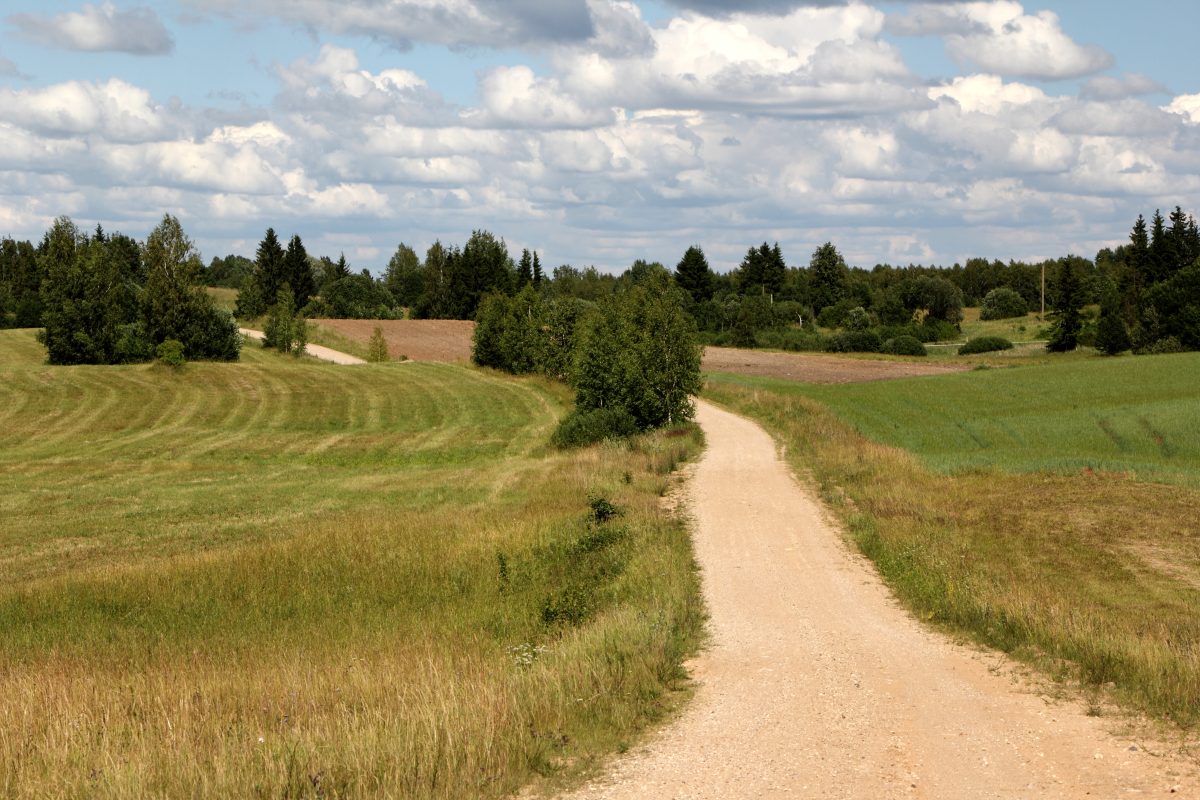 Travel Blog - Baltic Nature Travel